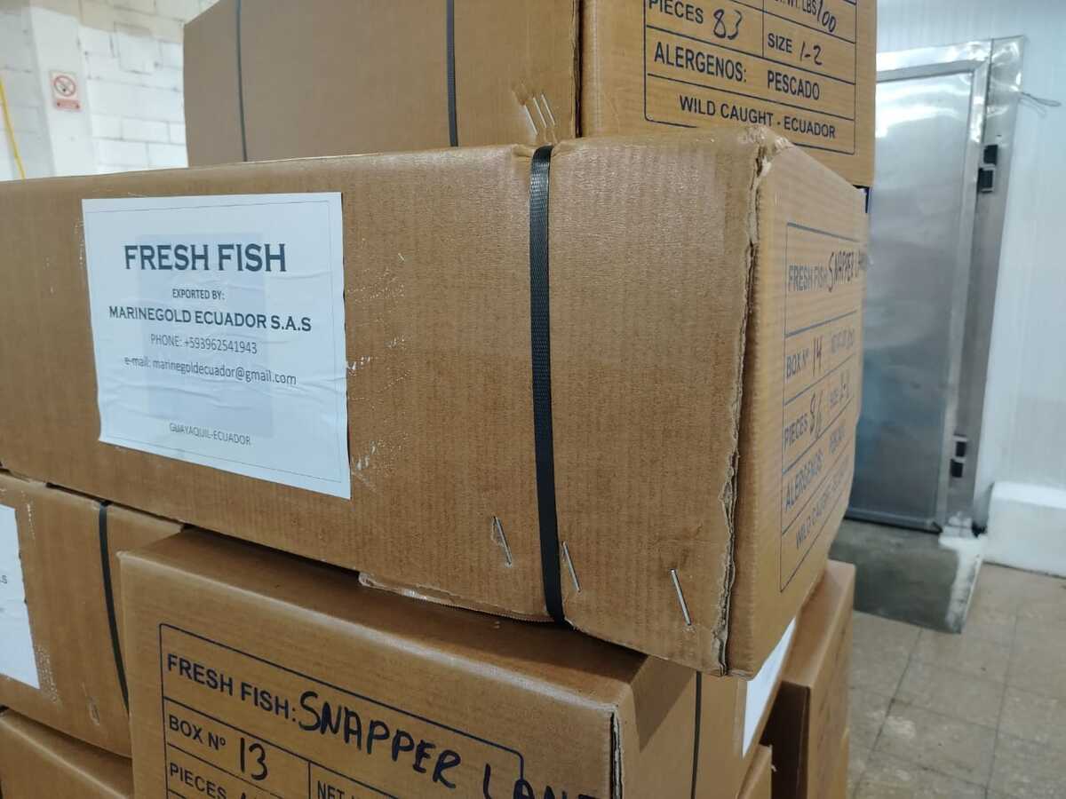 MarineGold Ecuador S.A.S. - Premium Ecuadorian Fish