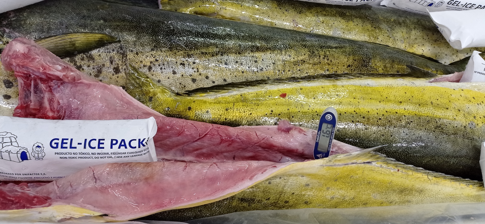 MarineGold Ecuador S.A.S. - Premium Ecuadorian Fish